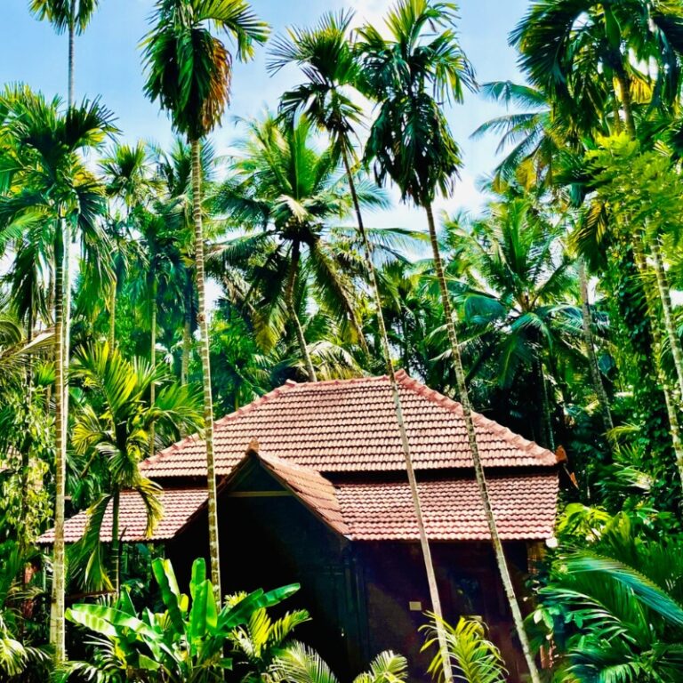 Family Cottage with AC - Areca County